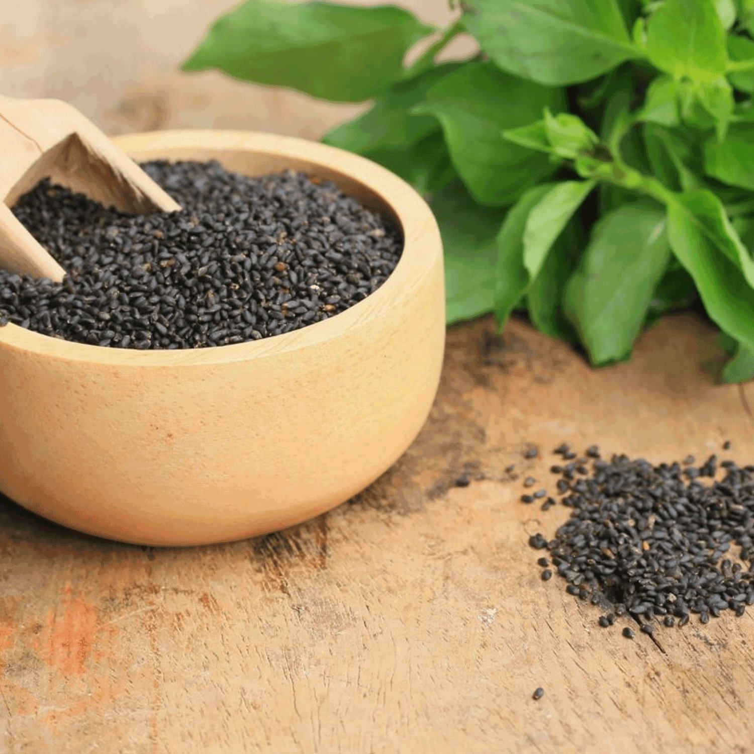 Basil Seeds 6 Surprising Benefits NPV Beverage